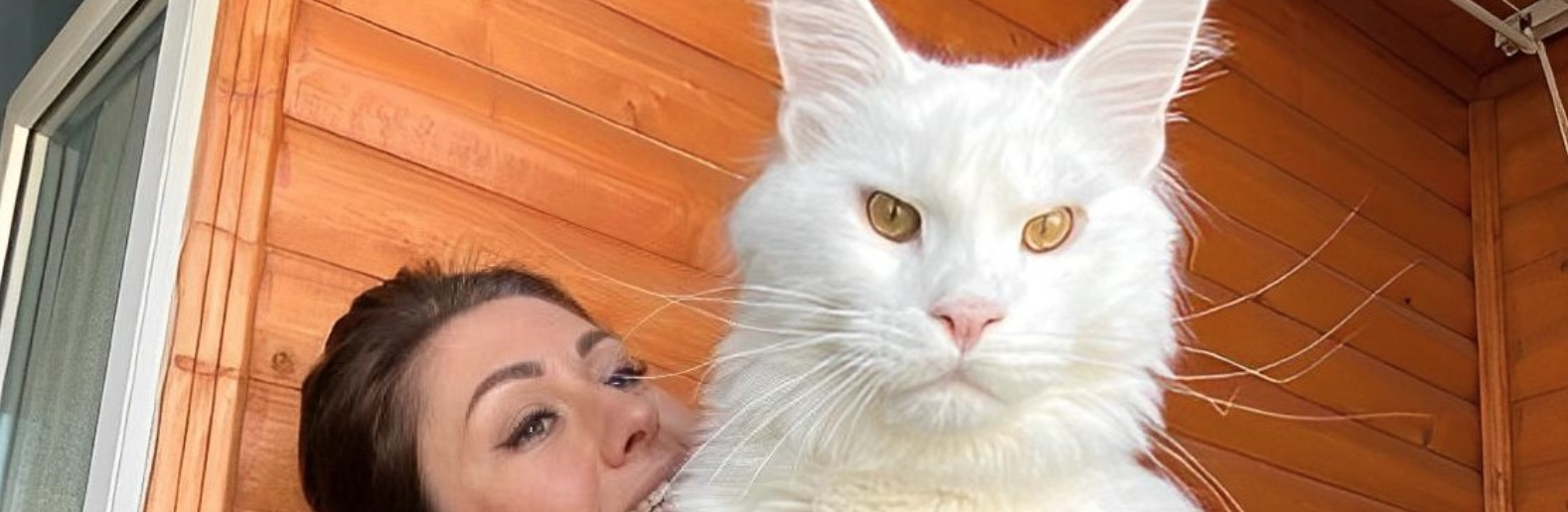 Hij weegt 12 kilo en groeit nog steeds. Maak kennis met Kefir — de ...